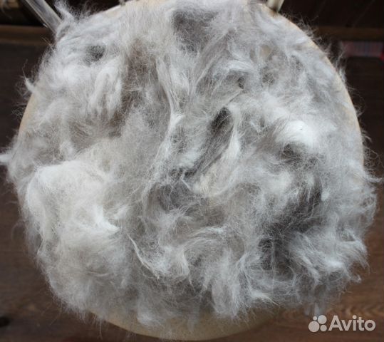 Шерсть северных ездовых собак для прядения