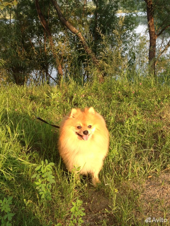 Кабель Шпиц для вязки