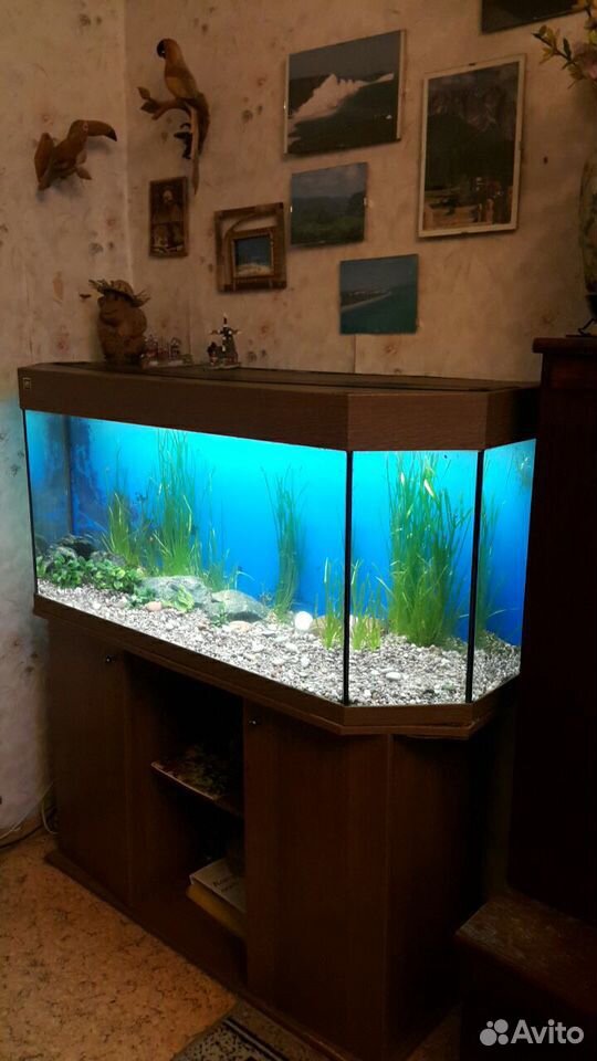 Аквариум 230л juwel