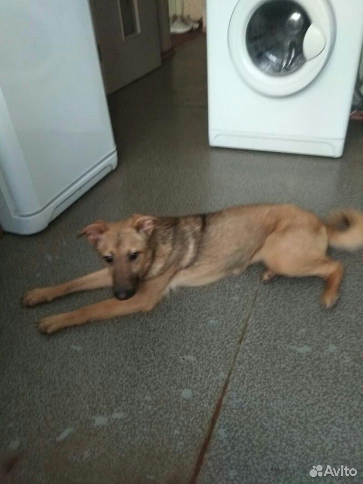 Джессика ищет дом