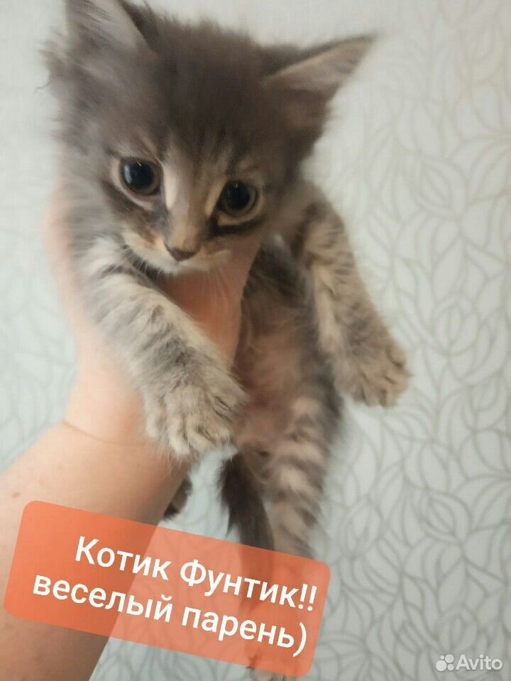Киндер - Фунтик
