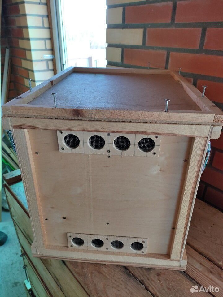 Пчелосемьи карника