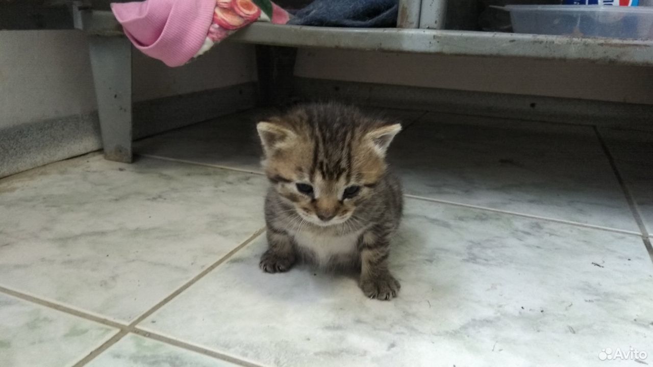 Малютка ждёт вашего участия