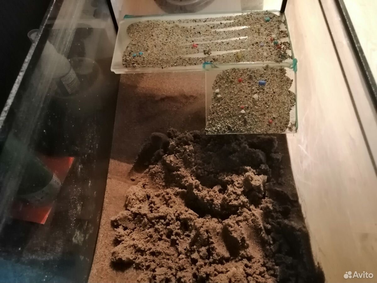 Аквариум для черепашек