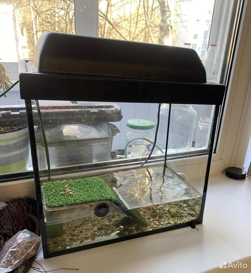 Аквариум с черепахой