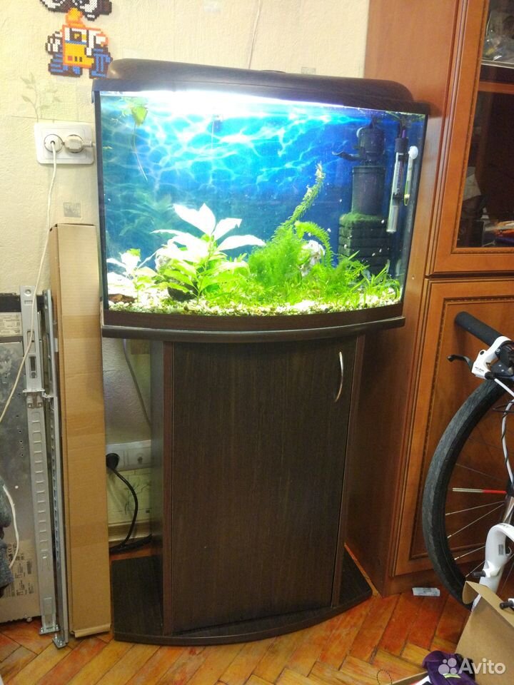 Аквариум 55л с тумбой