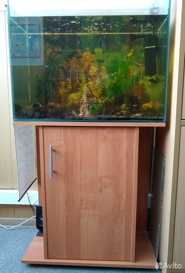 Аквариум с гуппиками