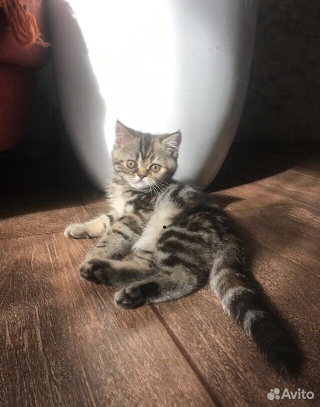 Девочка.Экзот