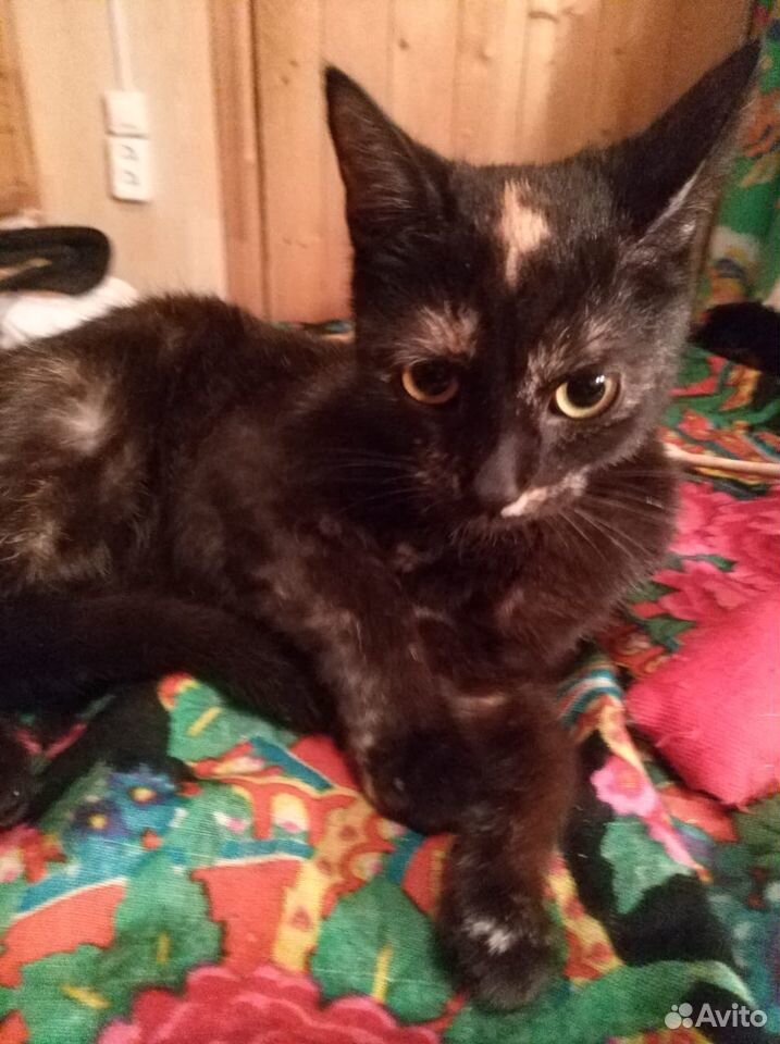 Тося - само совершенство