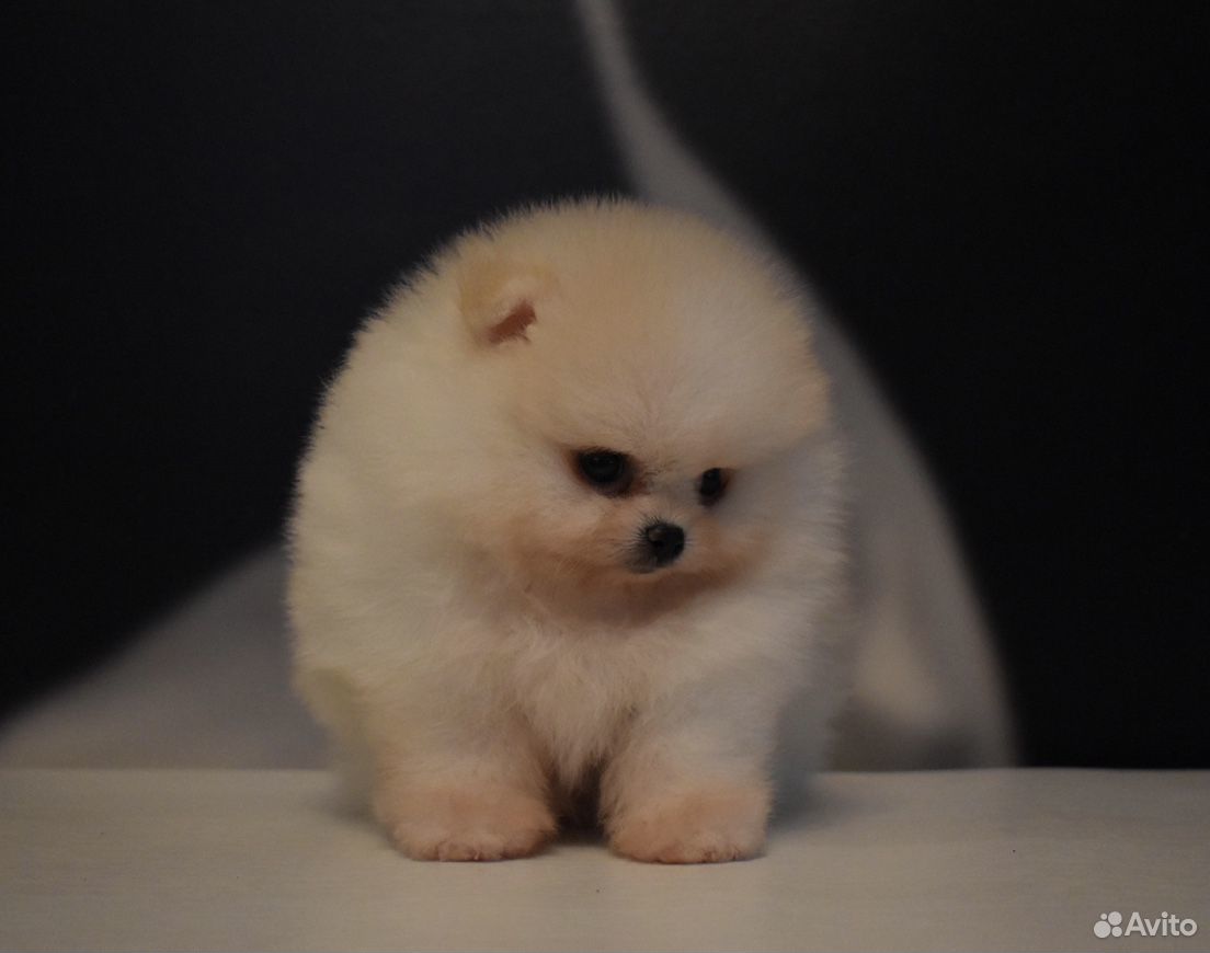 Малышарики