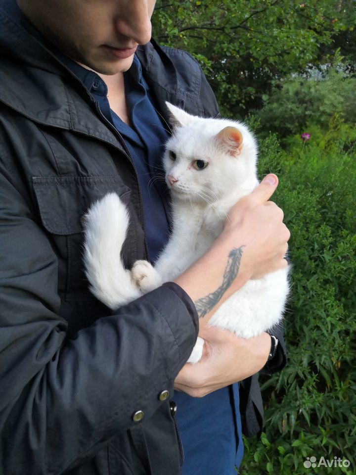 Кошечка Маша