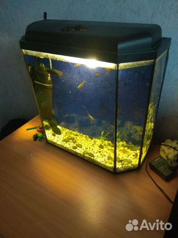 Аквариум