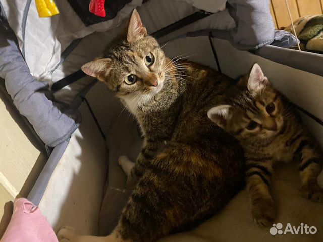 Малышке нужны заботливые и любящие родители