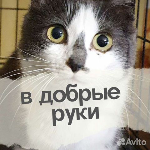 Семья, найдись