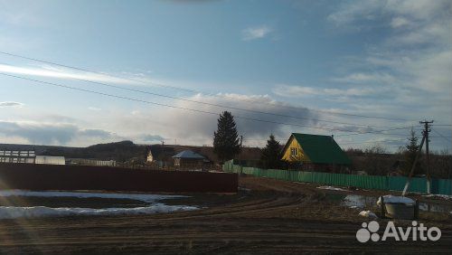 Продажа коровы. телята