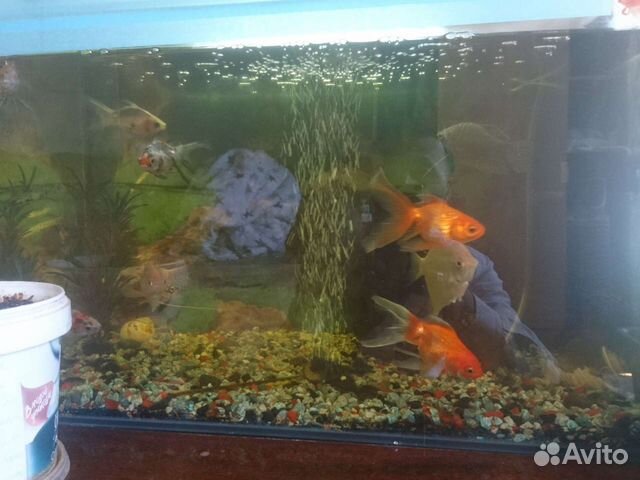 Украшение для аквариума