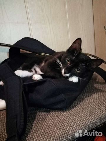 Милый малыш) (4 мес.)