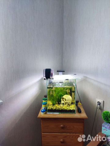 Аквариум с рыбками и оборудованием
