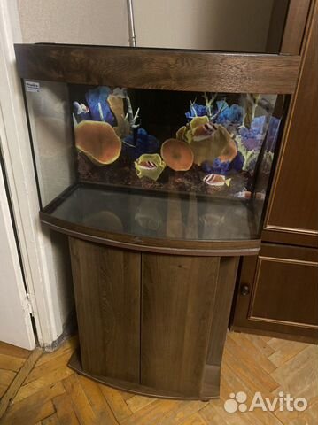 Аквариум Biodesign Панорама 100 с аксессуарами