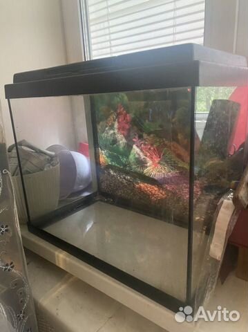 Аквариум Biodesign