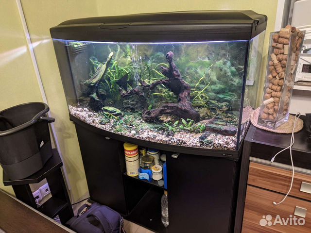 Ferplast Cayman 110 scenic professional