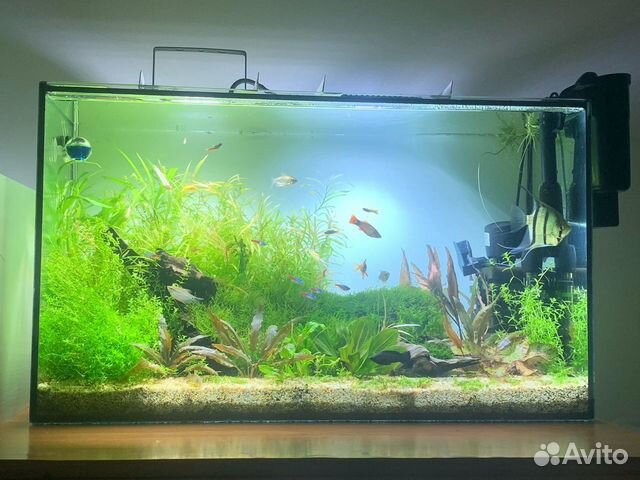 Аквариум