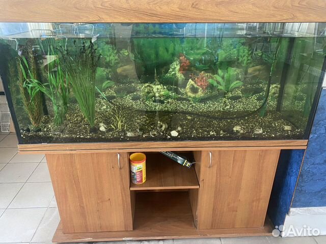 Аквариум с тумбойи