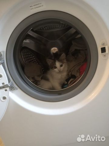 Коськи в добрые ручки