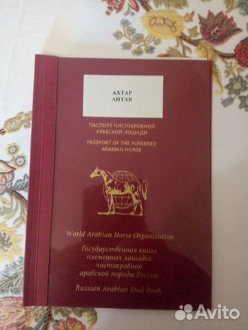 Арабские лошади