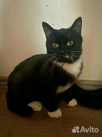 Мальчик, спасенный с трассы