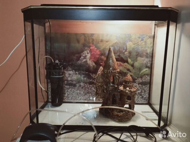 Аквариум