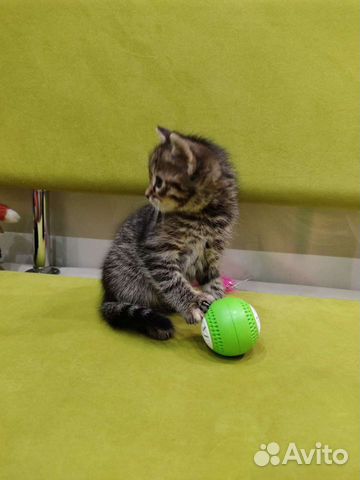 Новогодние подарочки