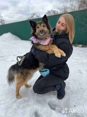 Сладкая ягодка приюта