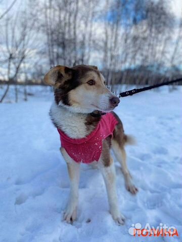 Шейла давно ищет семью