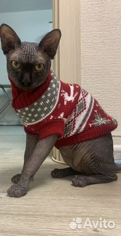 Кот на вязку