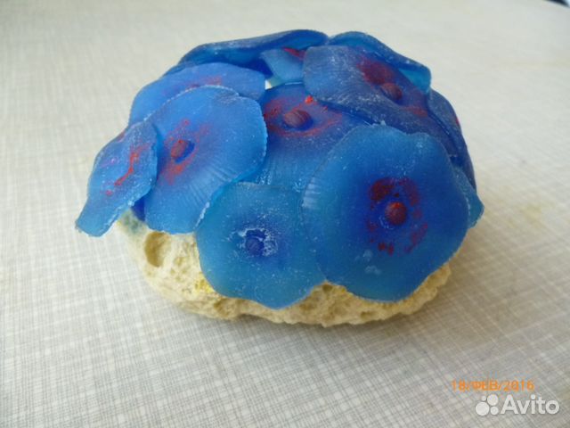 Кораллы из латекса