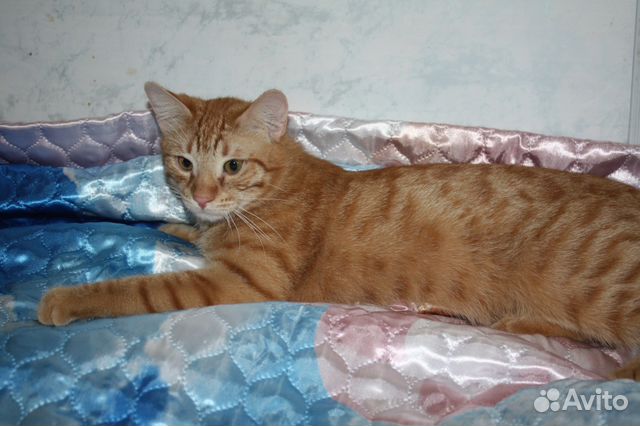 Мой славный нежный 4 мес