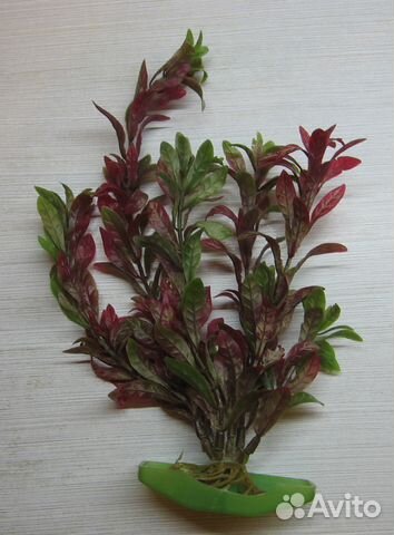 Искусственная водоросль