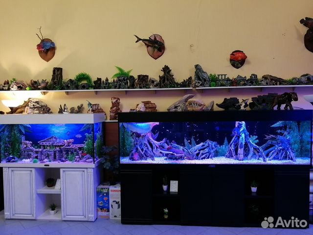 Аквариумы 100л - 500л