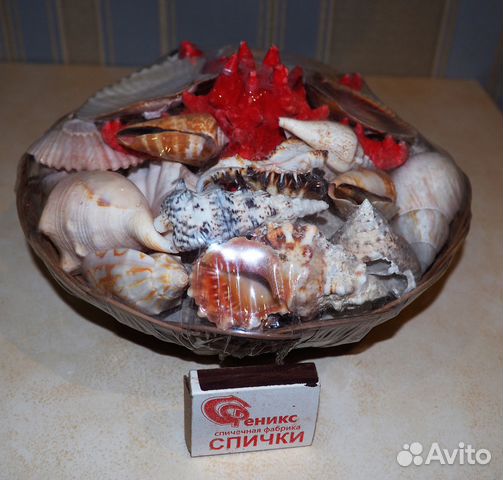 Набор ракушек для аквариума