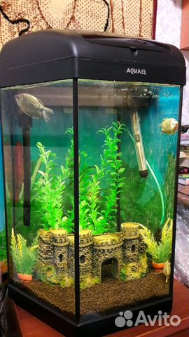 Аквариум с рыбками на 60 литров