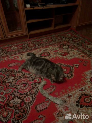 Ищем жениха