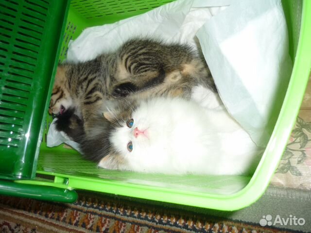 Много-много радости