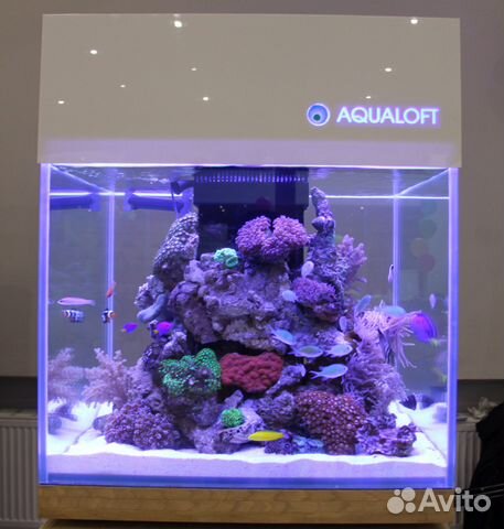 Морской Аквариум