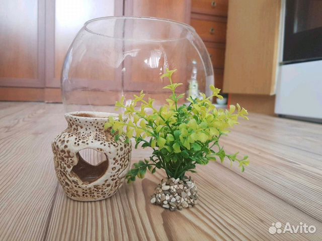 Аквариум круглый