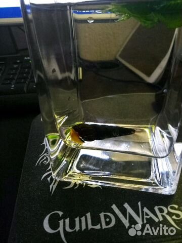 Улитка Тиломелания оранжевый кролик