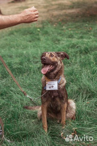 Юный Марсель ищет дом, 9 месяцев