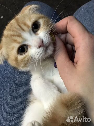 Мальчишка хулиган