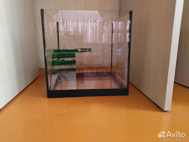 Аквариум для черепах