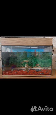 Аквариум со всем необходимым